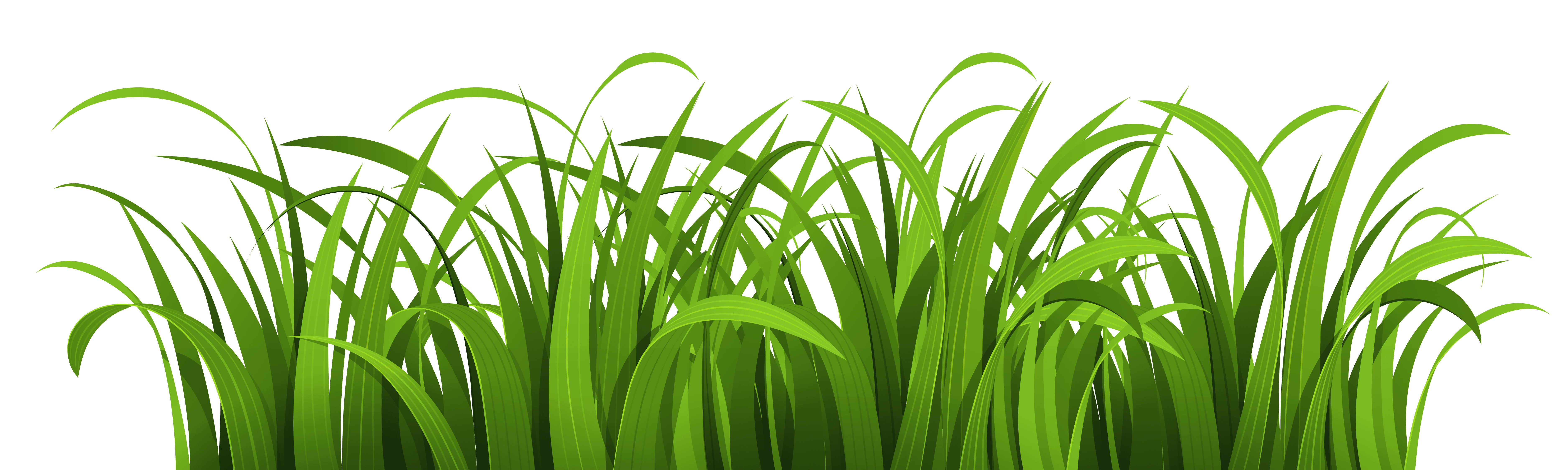 PNGPIX COM Grass Vector PNG Transparent Image Supernatural Brand