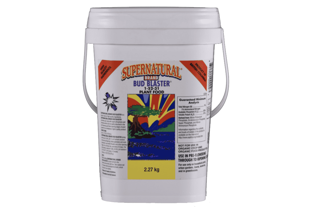 BUD BLASTER 1-52-31 (100 g – 10 kg) | Supernatural Brand