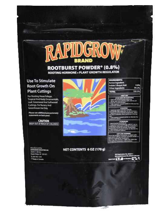 ROOTBURST POWDER (2 oz & 6 oz) – Supernatural Brand