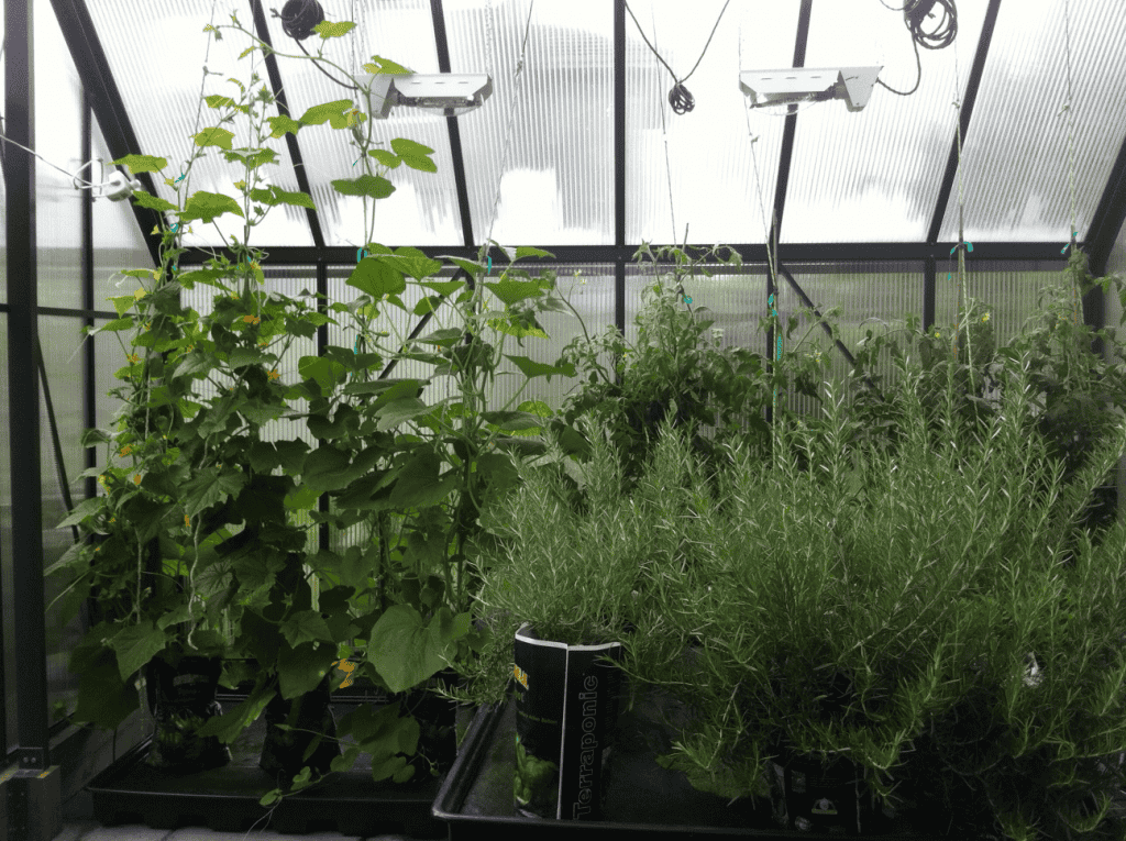 Home Crop Production | Indoor Growing Systems | Hydroponics